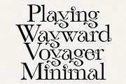 Vineyard - Serif Typeface, a Serif Font by Tropical Type