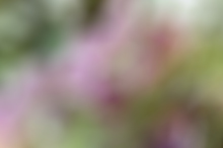 Fine Art Digital Texture, a Texture Graphic by Nancy Hebert Photography