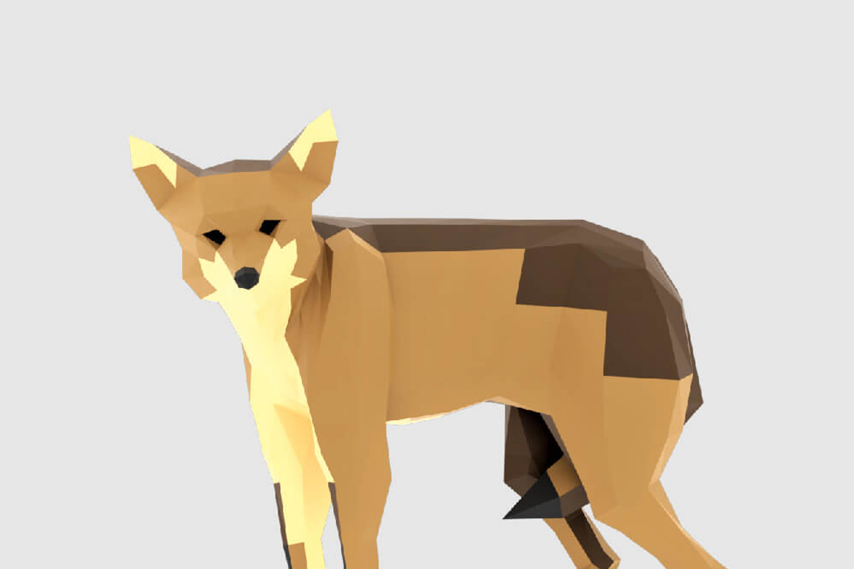 Coyotes, an Animal 3D Model by Studio Ochi