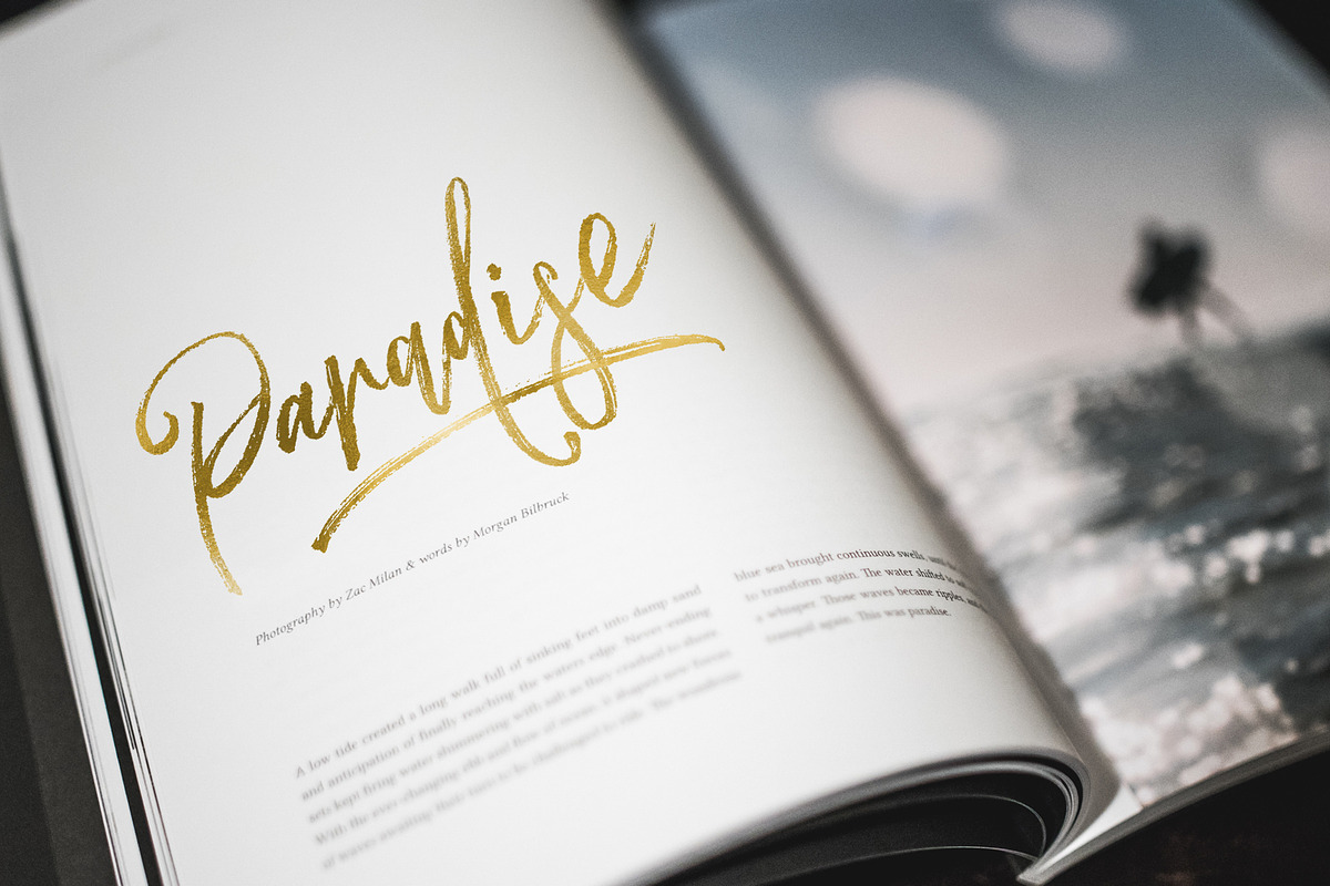 Readmitted Font Duo, a Script Font by Dhan Studio