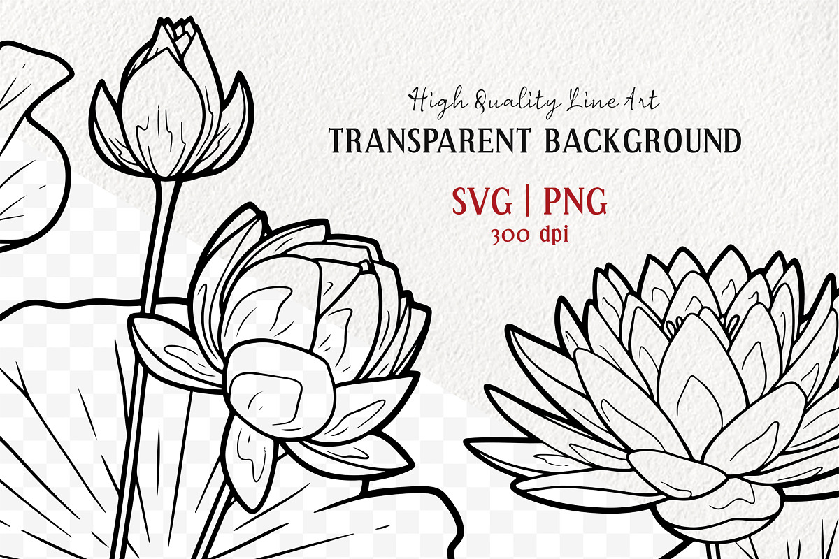 Lotus Flower Vector Line Art Set, a Decorative Illustration by MadliArt ...