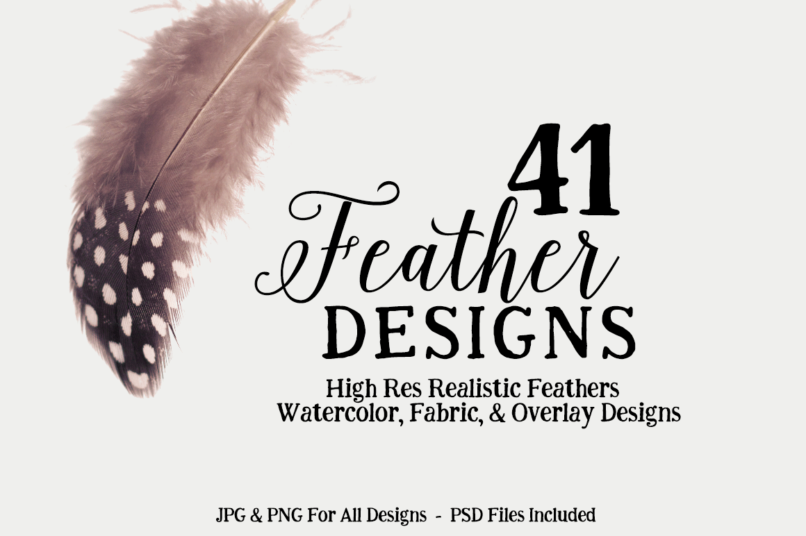 41 Feather Designs, an Illustration by Desiree Lange