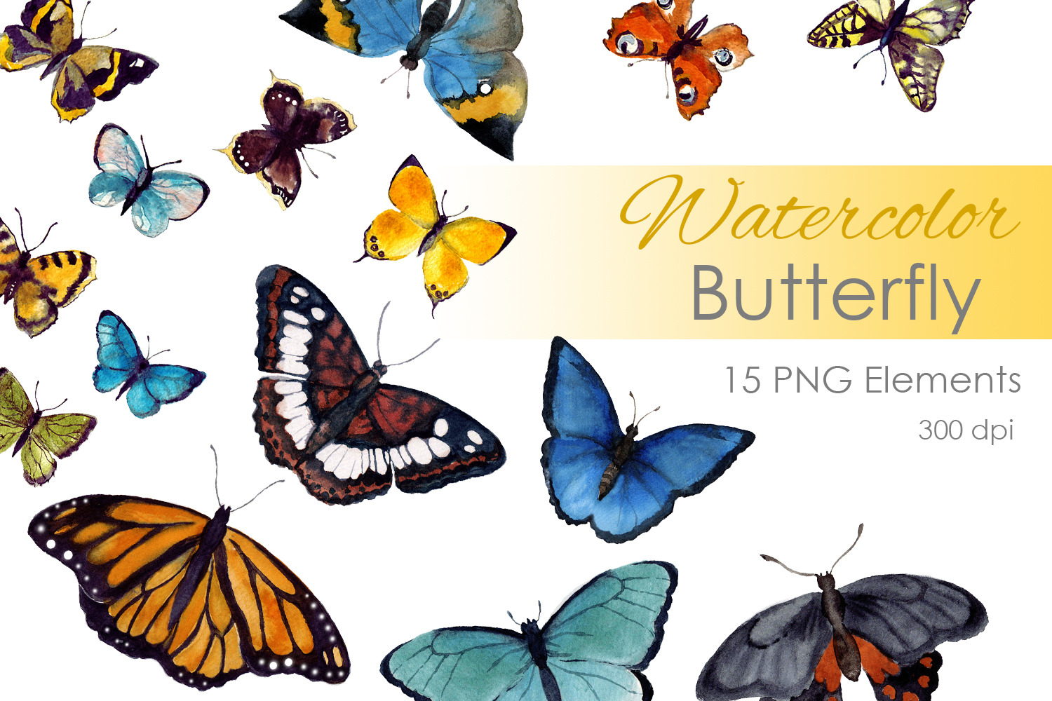 Watercolor Butterfly clipart, an Illustration by KomtsyanTatyanaArt