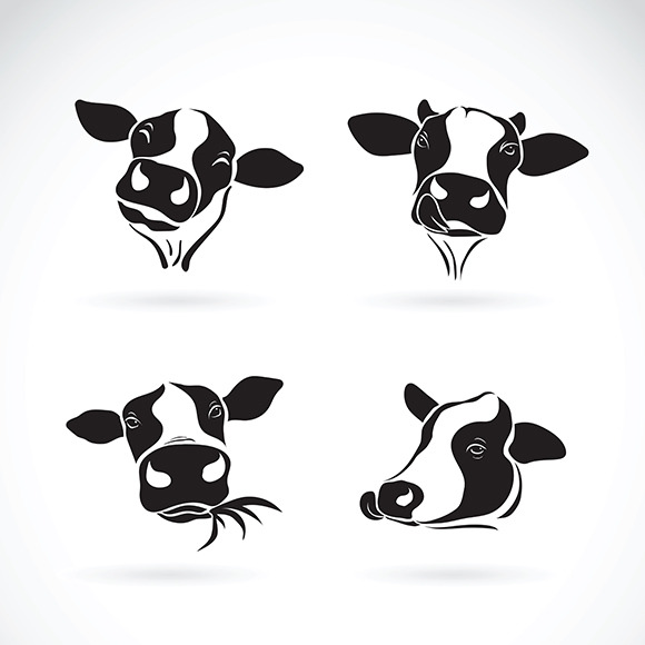 Vector group of a cow head design. | Outline Icons ~ Creative Market