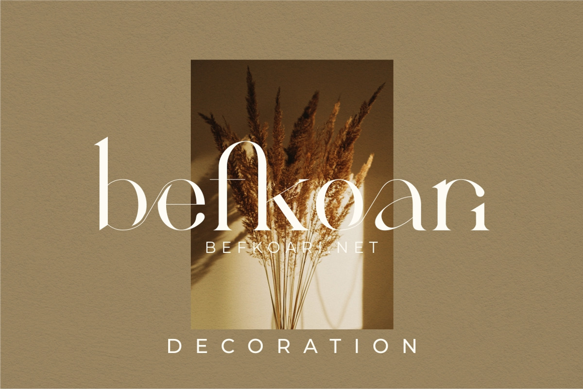 Fragier unique ligature serif font, a Serif Font by suhadidesign