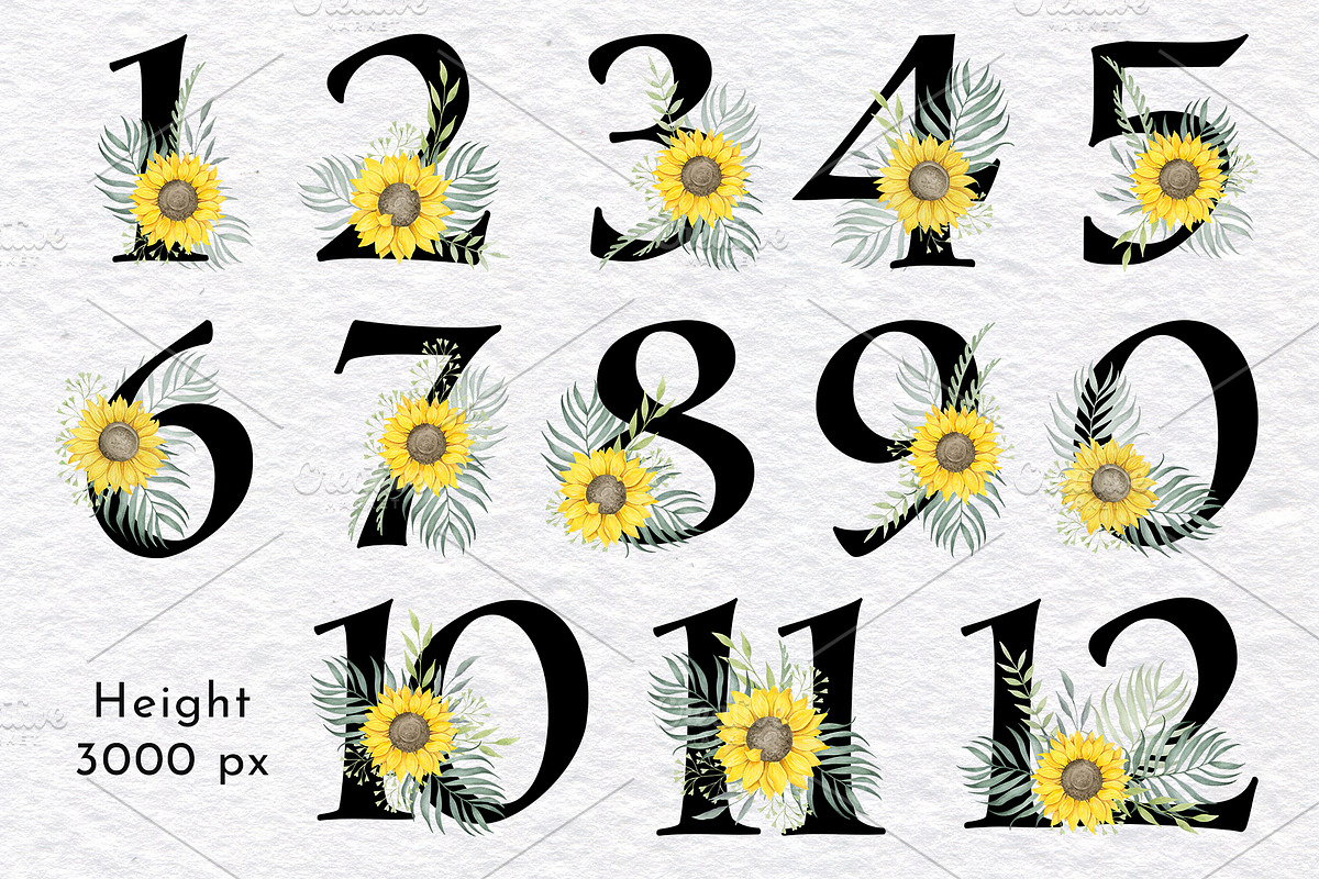 Watercolor floral number clipart set | Creative Market