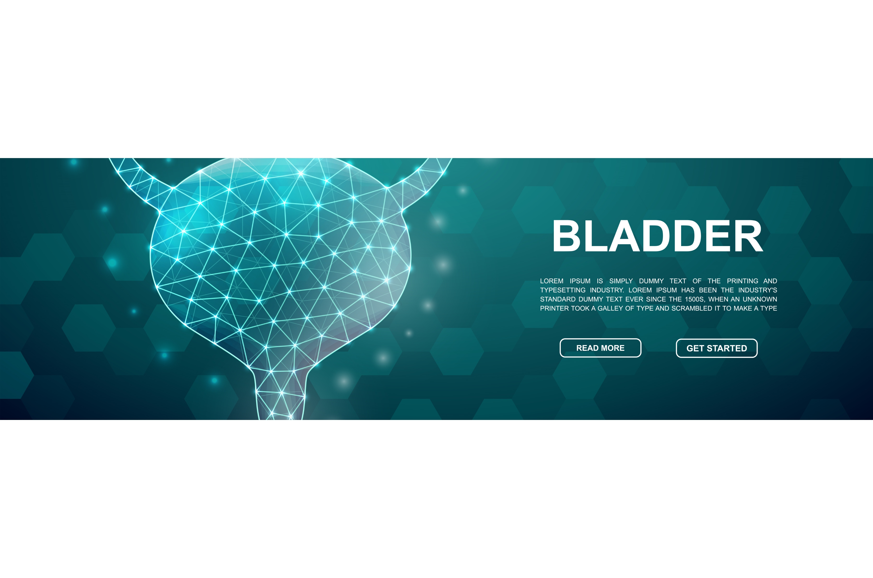 Bladder 3d low poly symbol for head, a Texture Graphic by GraphiShop
