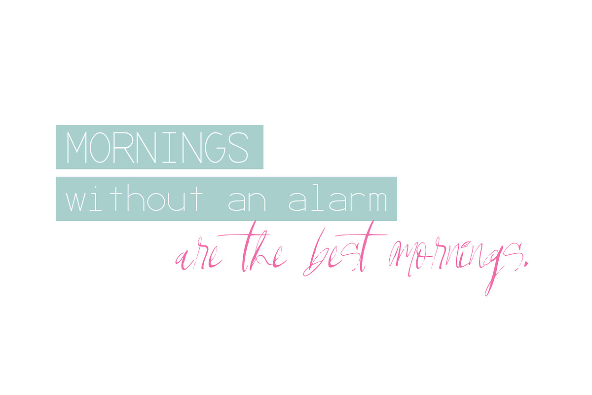 Grazia Font, a Script Font by SophieSaxo