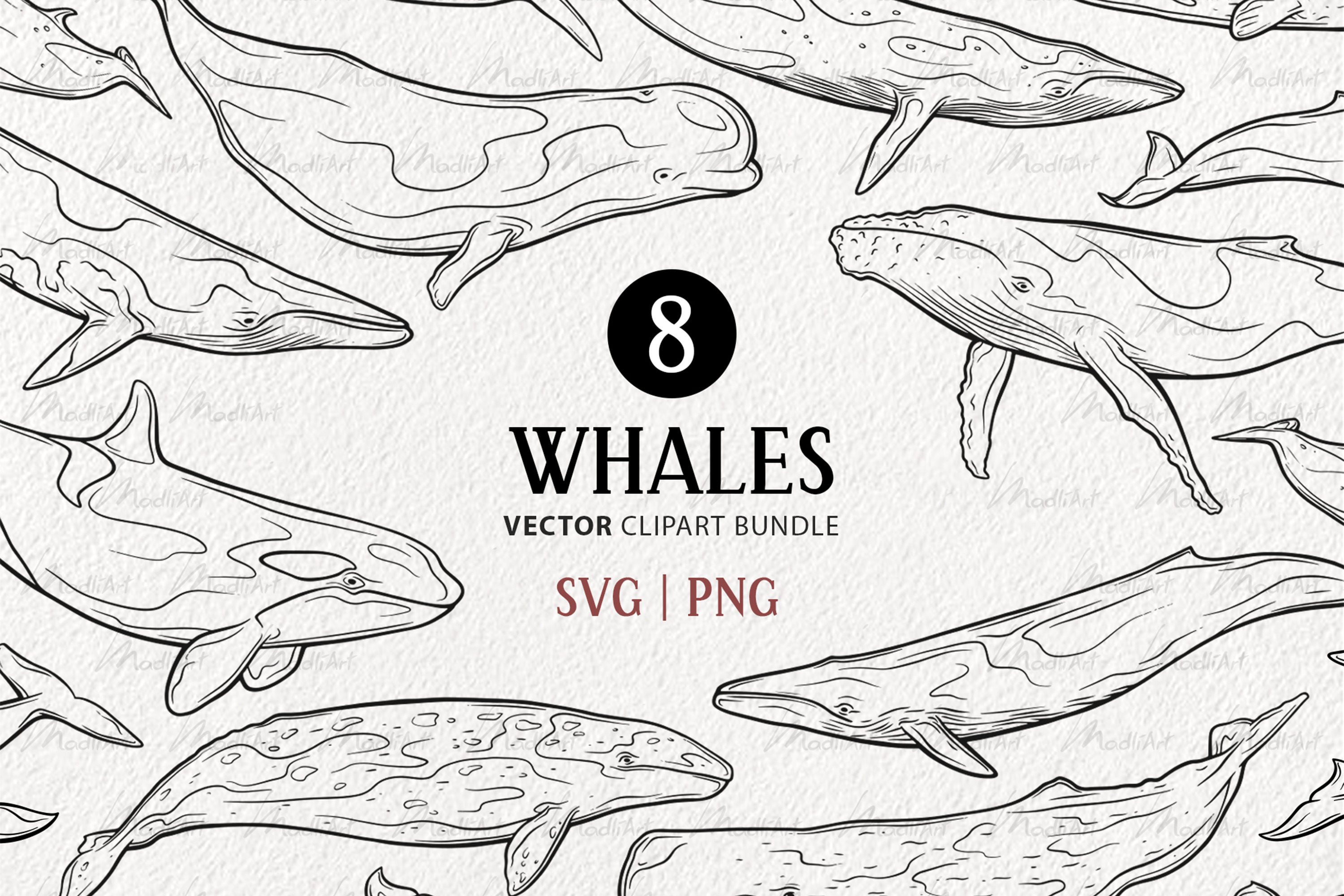 Whale Vector Clipart Bundle, an Animal Illustration by MadliArt