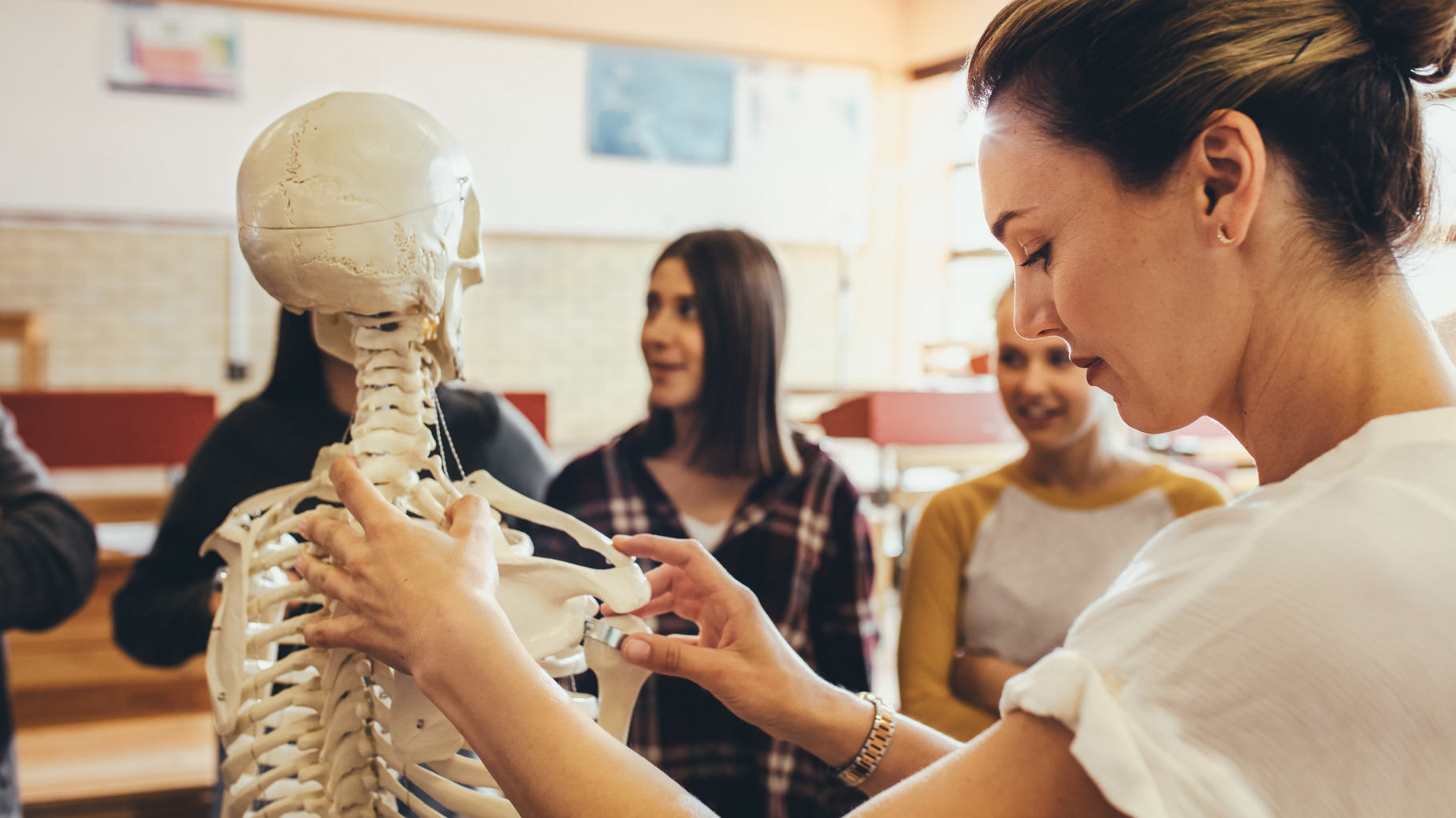 Teacher explaining the skeletal, a Person Photo by Jacob Lund ...