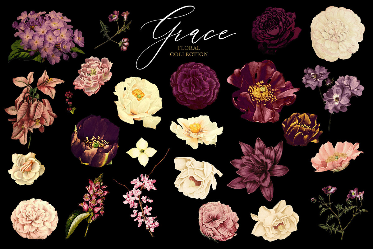 Grace Floral Collection, a Texture Illustration by Eclectic Anthology