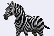 3DRT - Safari animals -Zebra, an Animal 3D Model by 3DRT.com