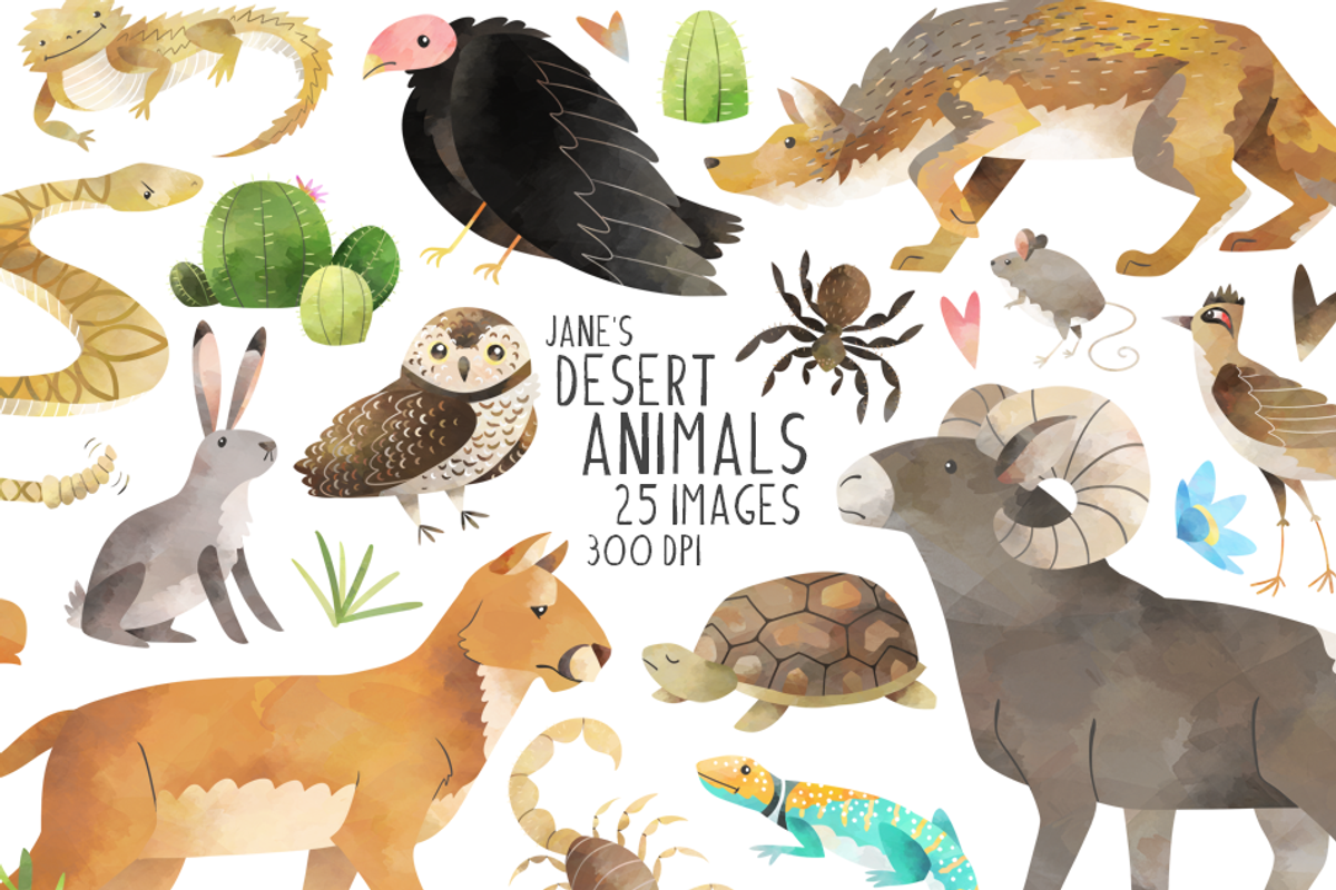 Watercolor Desert Animals Clipart, an Animal Illustration by ...