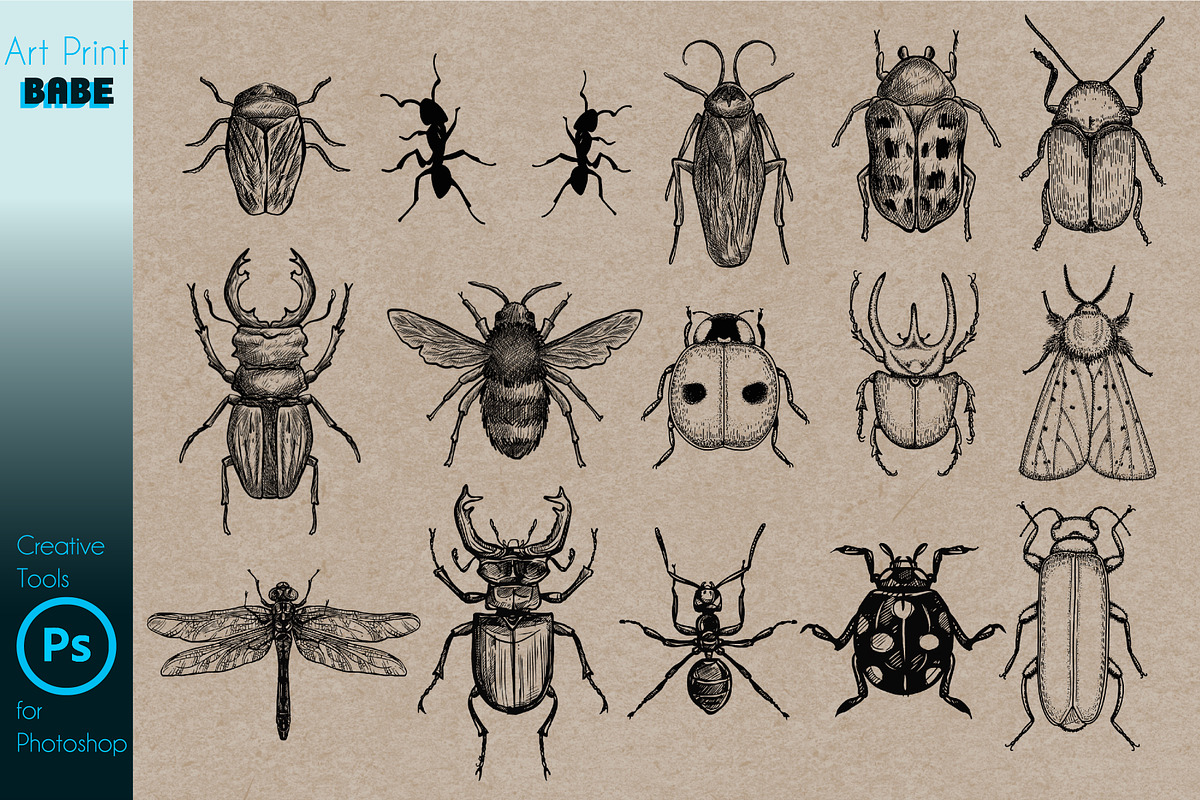 Photoshop Insect Brushes Tattoo Art