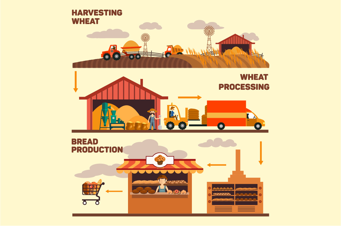 Production of bread, harvest | Transportation Illustrations ~ Creative ...