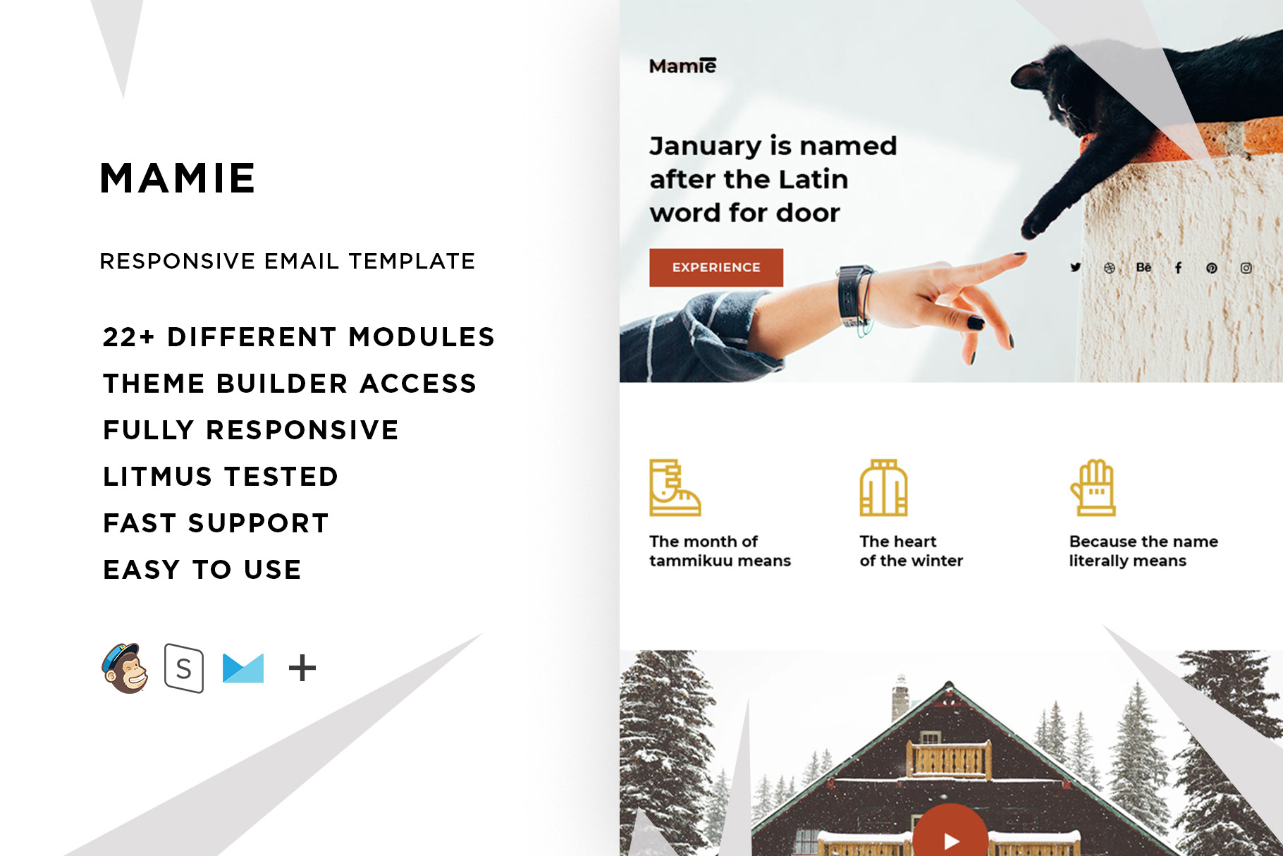 Mamie – Responsive Email template, an Email Template by ThemesCode ...