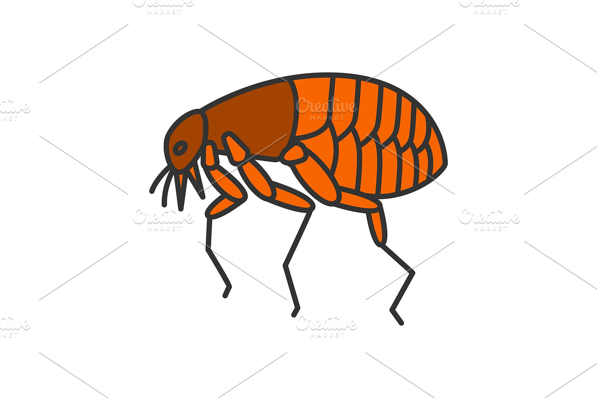 Flea color icon, an Icon by IMG visuals icons