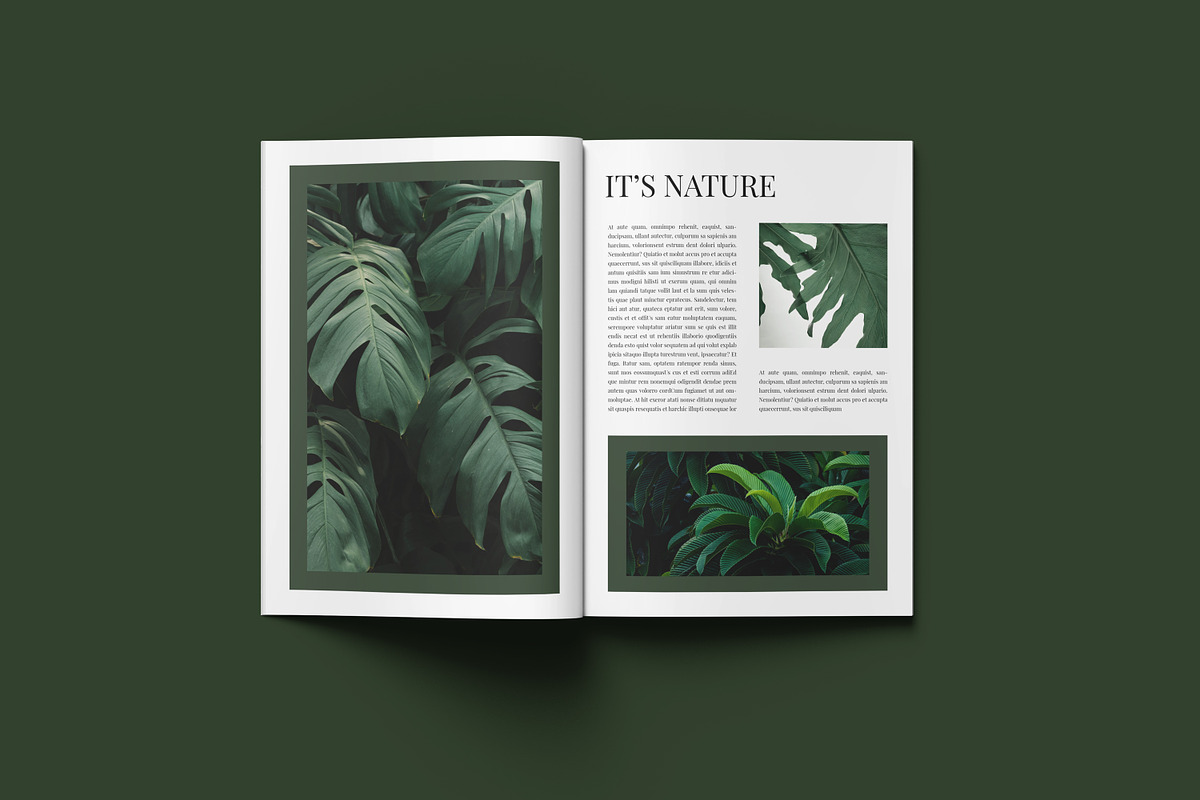 Nature Magazine Template Template, a Magazine Template by evgenystudio