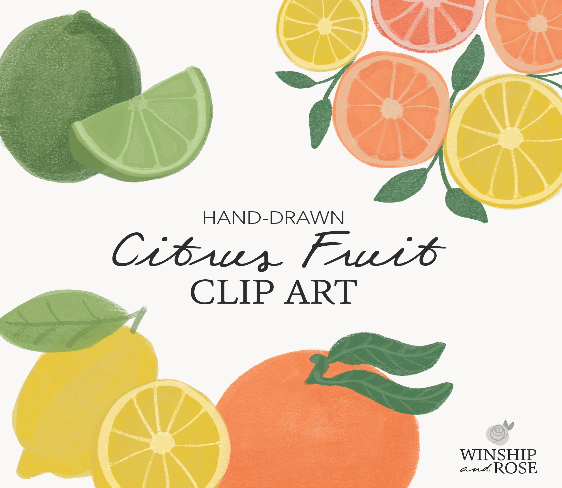 Citrus Fruit Clip Art, Orange, Lemon, an Illustration by WinshipAndRose ...