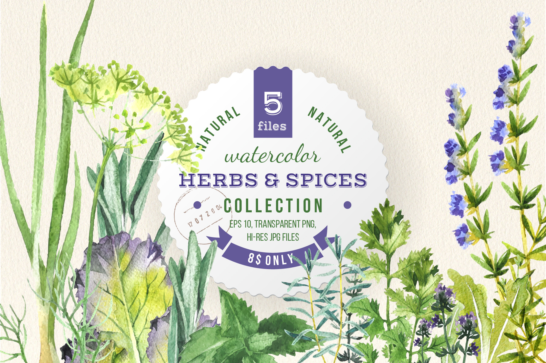 watercolor herbs and spices, a Food Illustration by handsketched