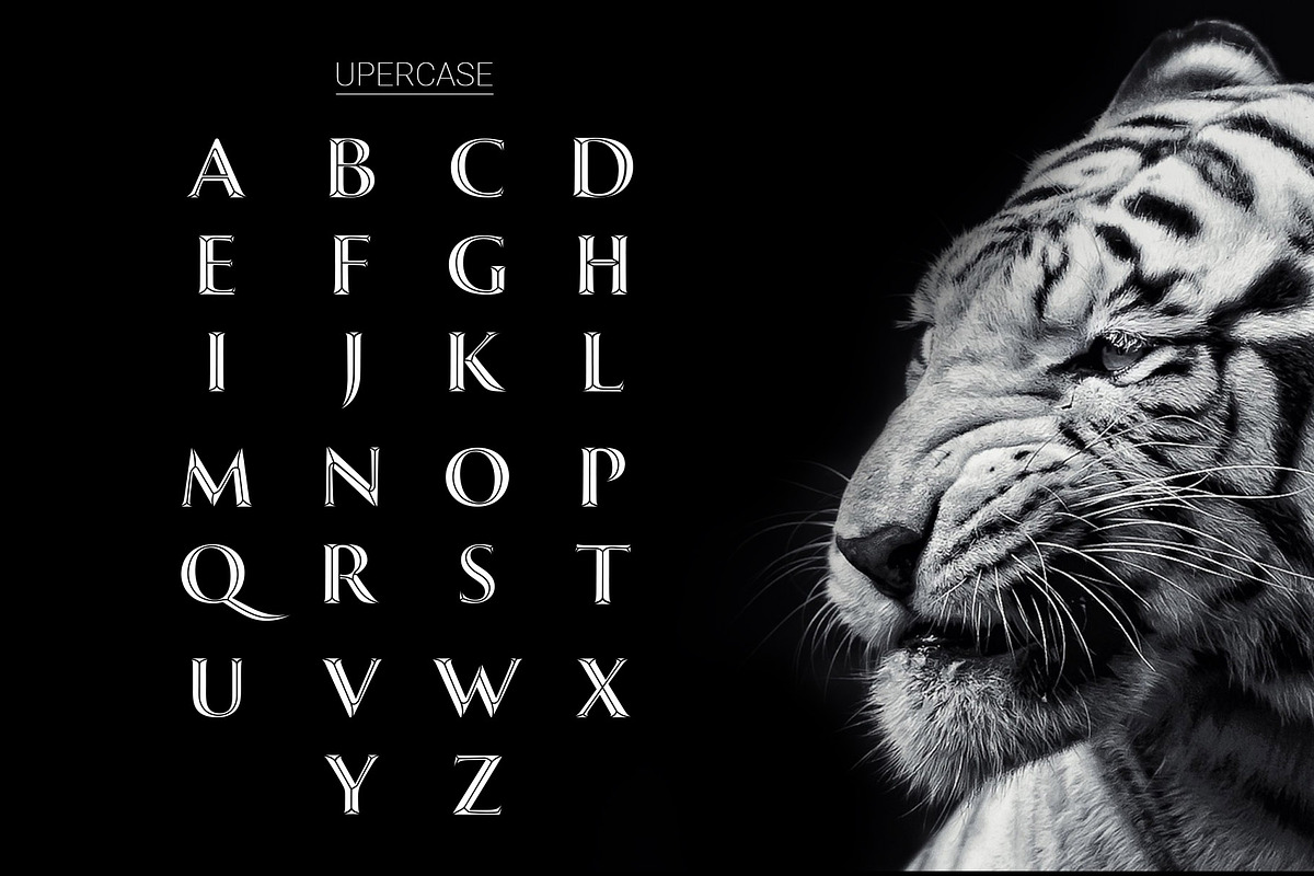 Invictus - Serif Typeface