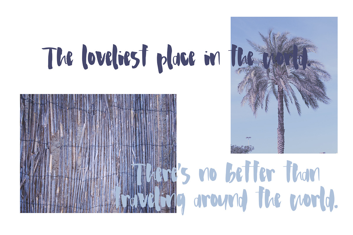 Haley Font, a Script Font by SophieSaxo