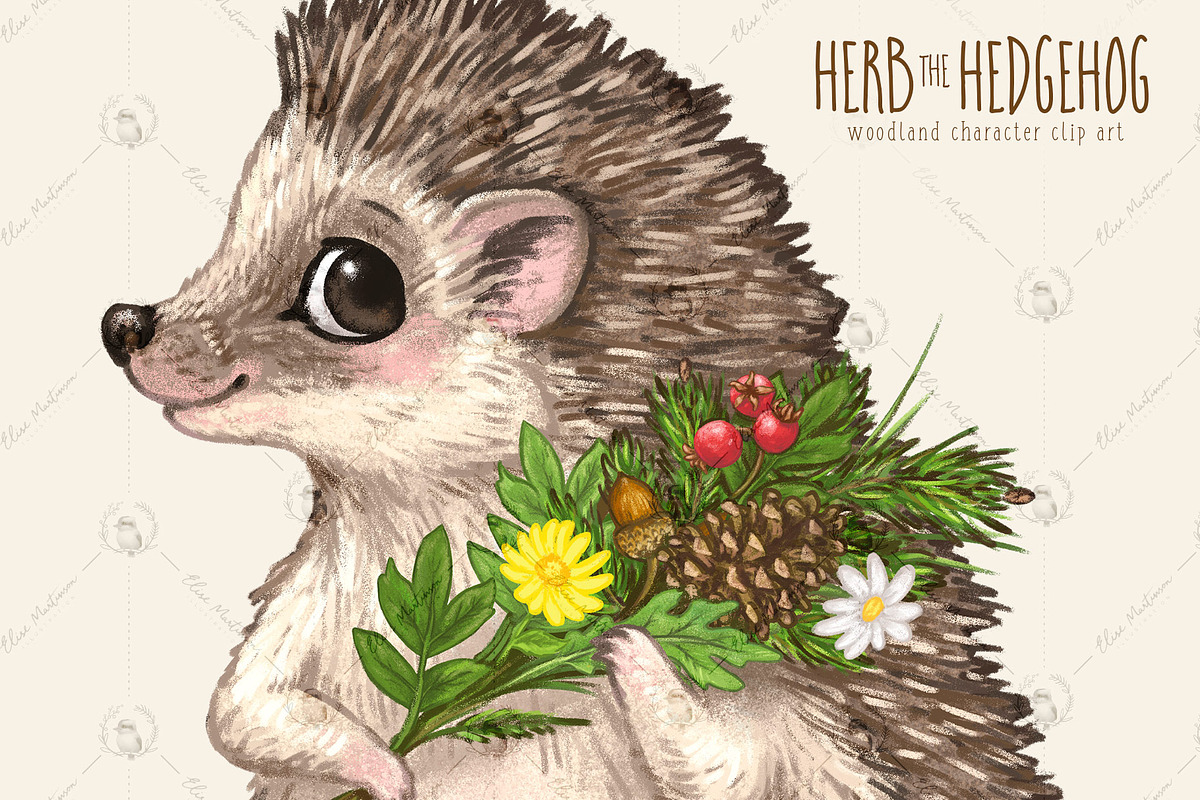 Woodland Hedgehog Clipart, an Animal Illustration by Clip Art by Elise M