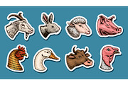 Farm animals. Head of a | Animal Illustrations ~ Creative Market
