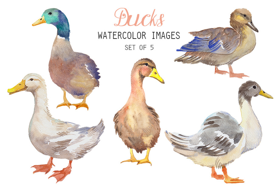 Watercolor Duck Clipart, an Animal Illustration by YesFoxy