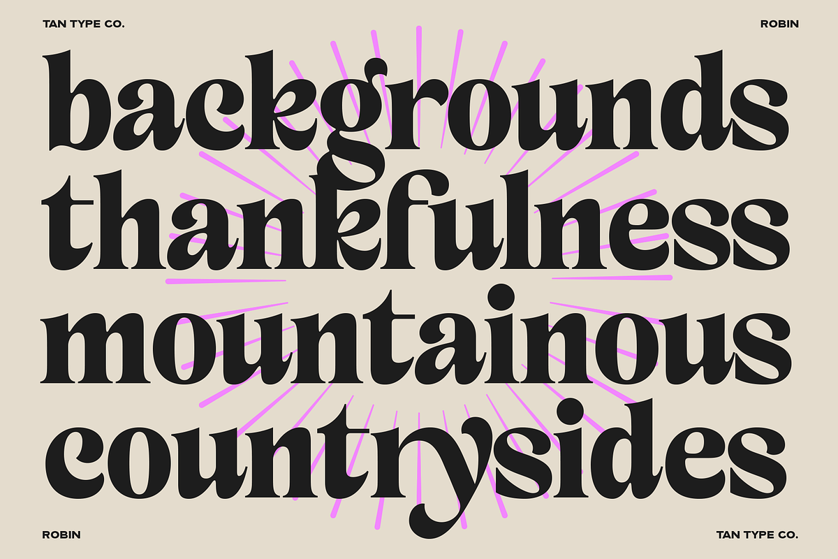 TAN - ROBIN, a Serif Font by TanType