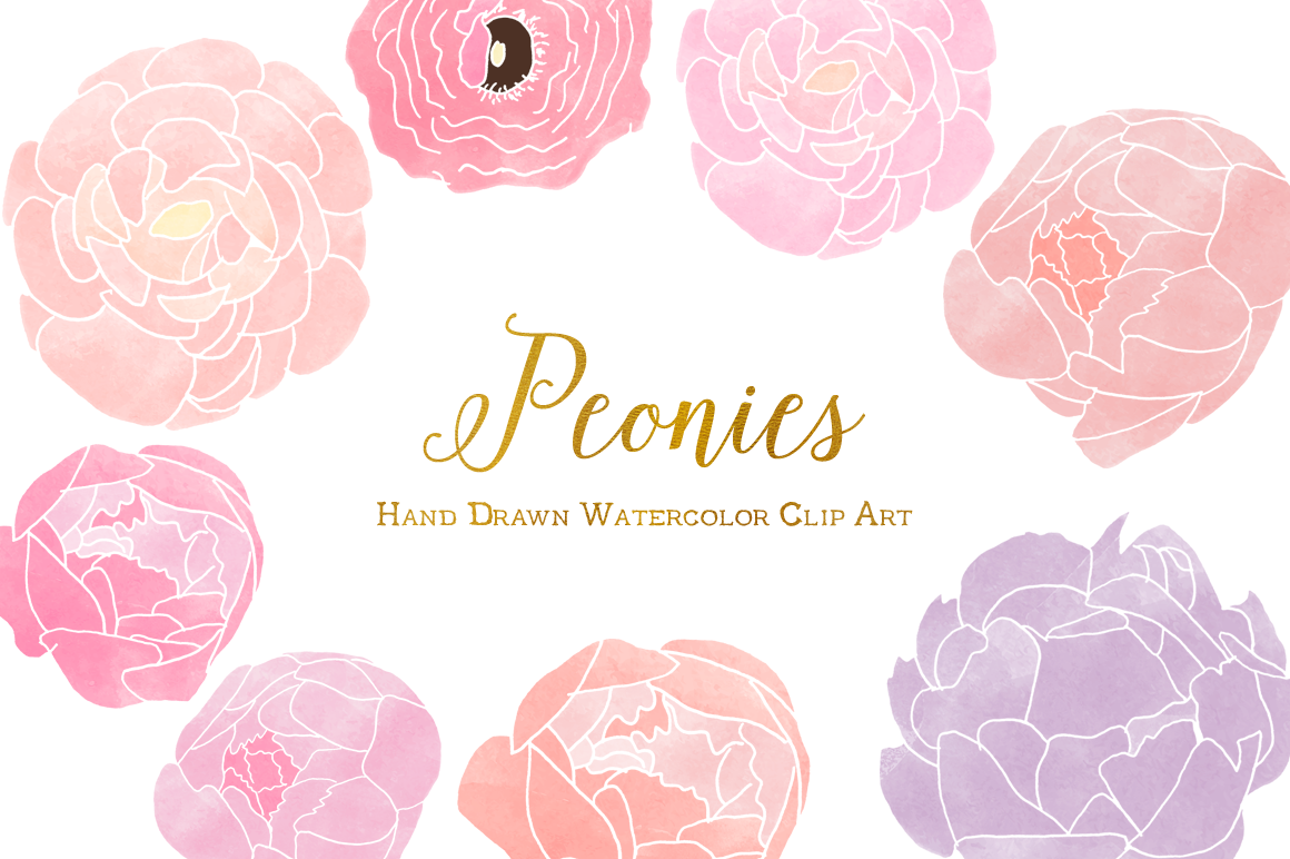 Watercolor Peony Clip Art Graphics, an Illustration by Emerald & Ivy ...