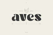Aves Display Typeface, a Serif Font by infernostudio3