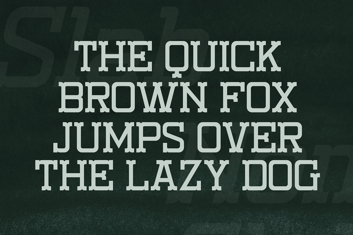 Nomaden Slab Stylish Slab Serif Font, a Slab Serif Font by Storytype Studio