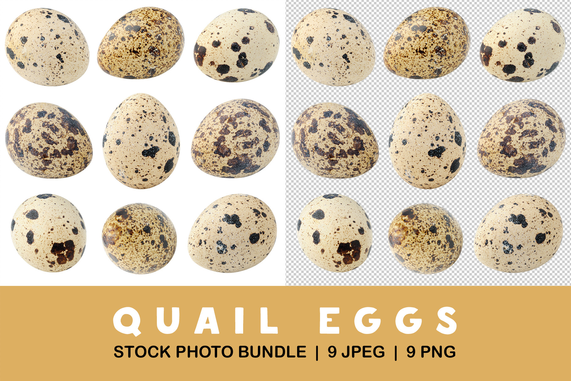 9 quail eggs, an Object Graphic by Fruits+Veggies