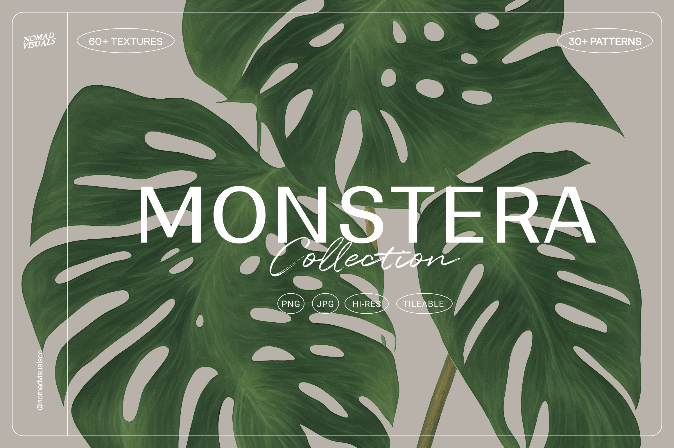 Monstera Tropical Collection, a Texture Graphic by Nomad Visuals