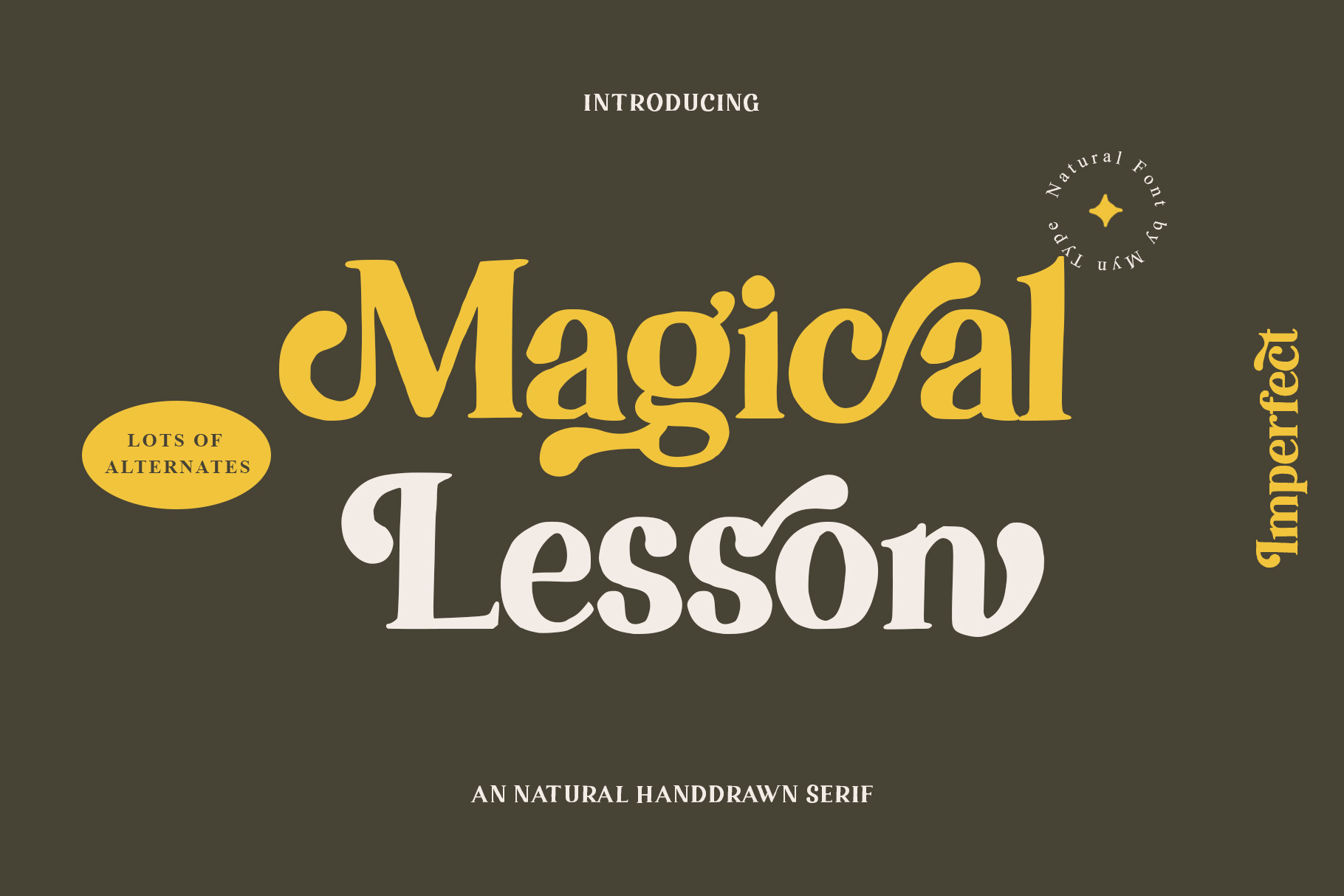 Magical Lesson - Handdrawn Serif