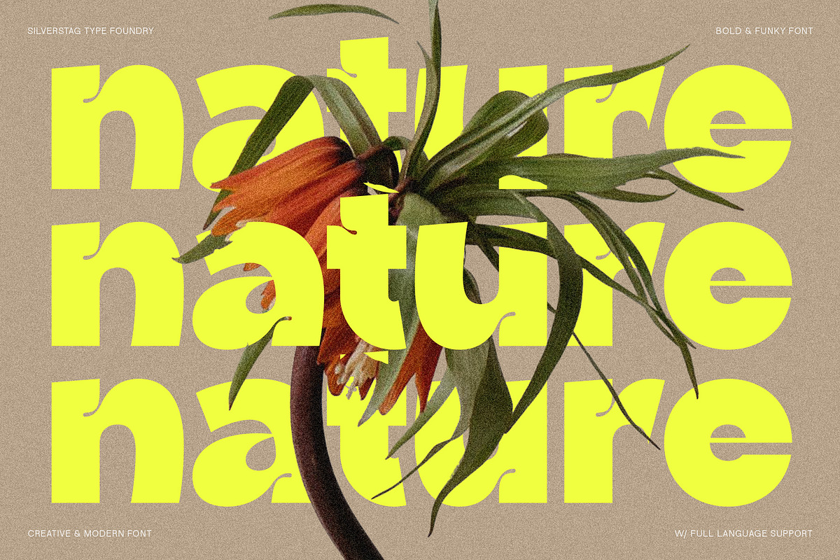 Ingrafts - Bold & Funky Font, a Sans Serif Font by SilverStag Type Foundry
