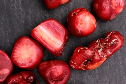 Red coral heap up jewel stones texture on black stone background, a ...
