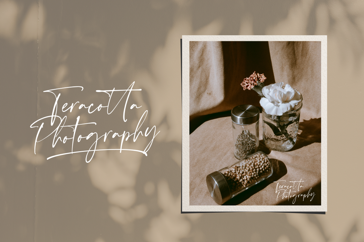 Scatter Ink | Handlettered Font, a Script Font by Sronstudio