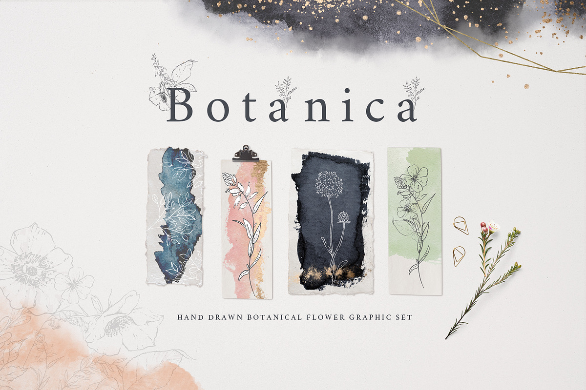 Botanical Graphic Collection, an Illustration by Twigs and Twine