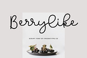Berrylike - Handwritten Script Font, a Script Font by Prioritype Co