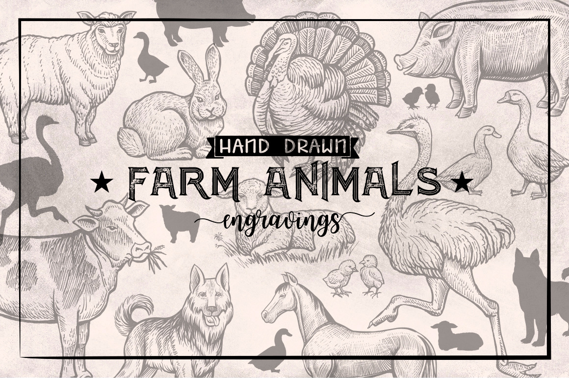 Farm Animals Collection, an Object Graphic by ilonitta