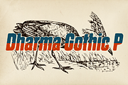 Dharma Gothic P, a Sans Serif Font by Dharma Type