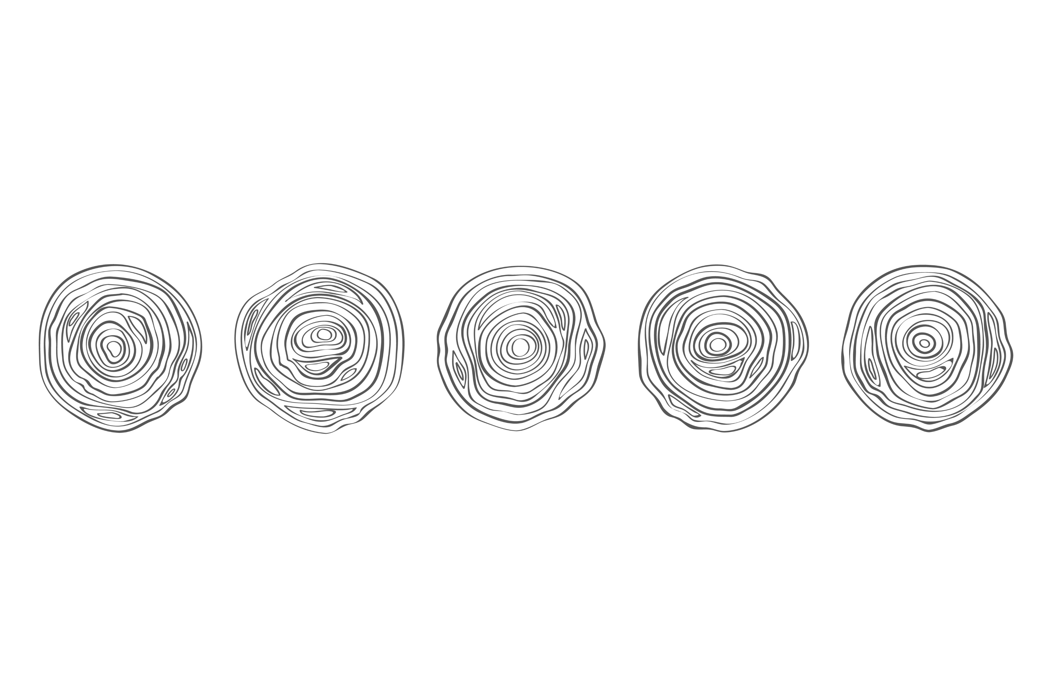 Tree trunks round sections. Circular, an Object Illustration by YummyBuum
