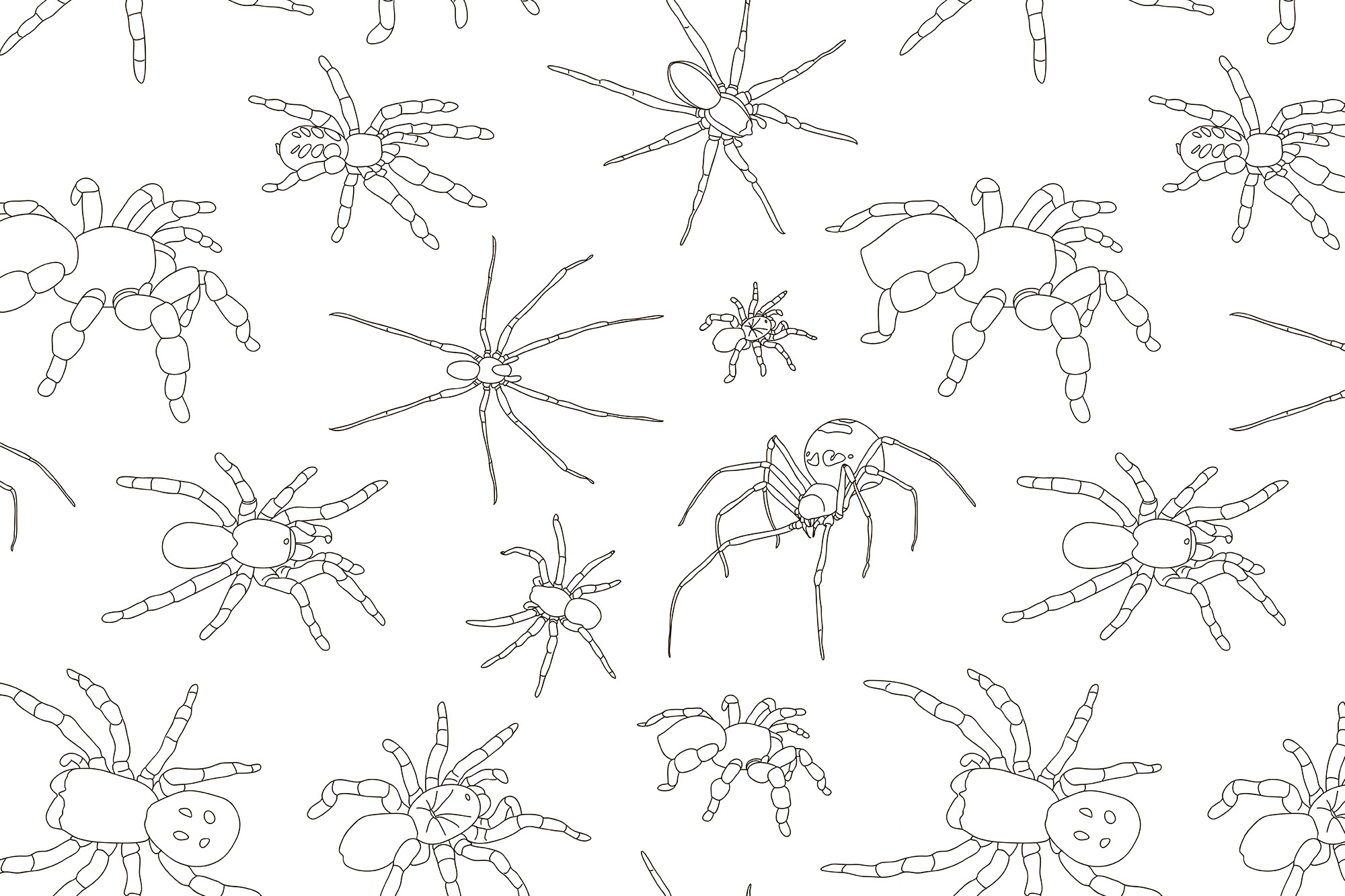 Spiders vector set pattern, a Pattern Graphic by Netkoff