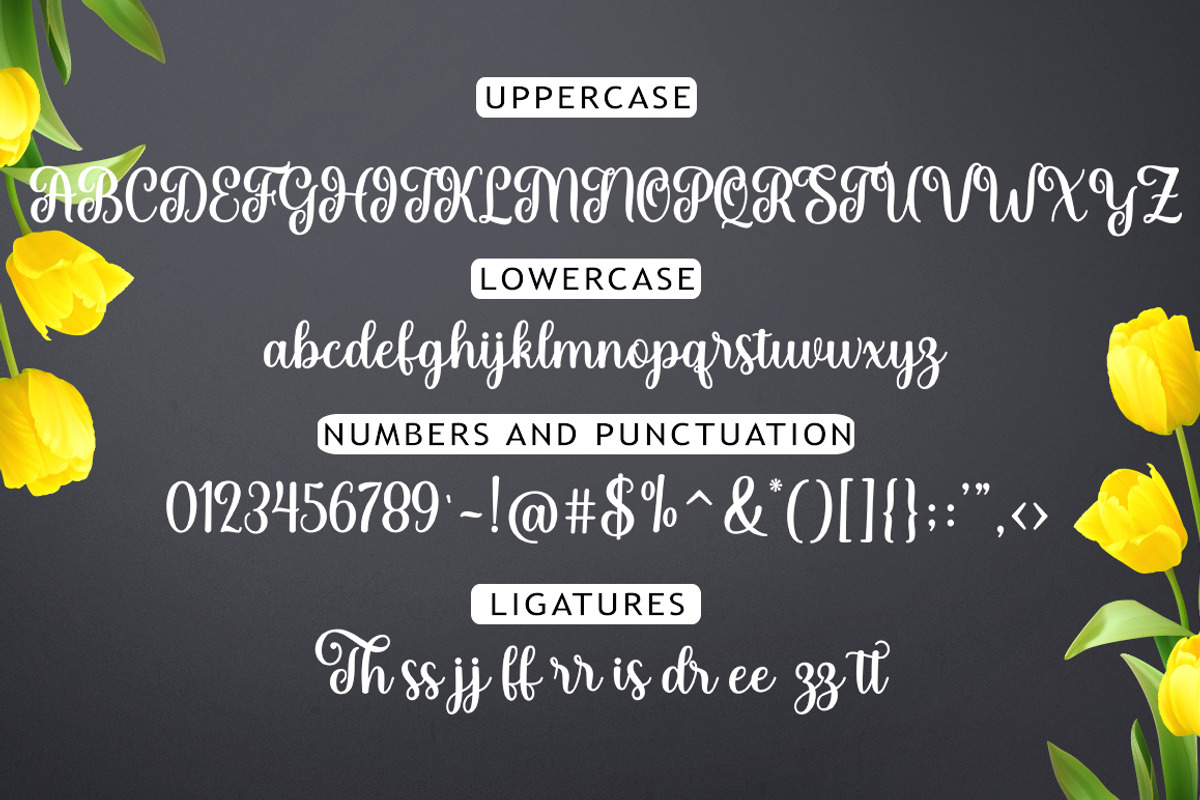 The Yolanda Font Duo, a Script Font by Madjack.font