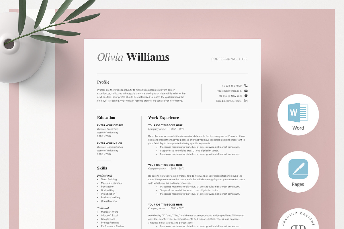 ONE Page Resume Template Kit, a Resume Template by DemeDesign
