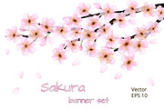 A set of banners with sakura flowers, a Decorative Illustration by ...