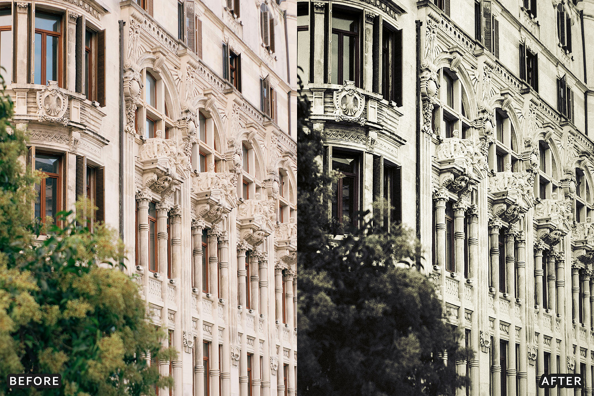 AI-Optimized Rich Black and White Lightroom Presets