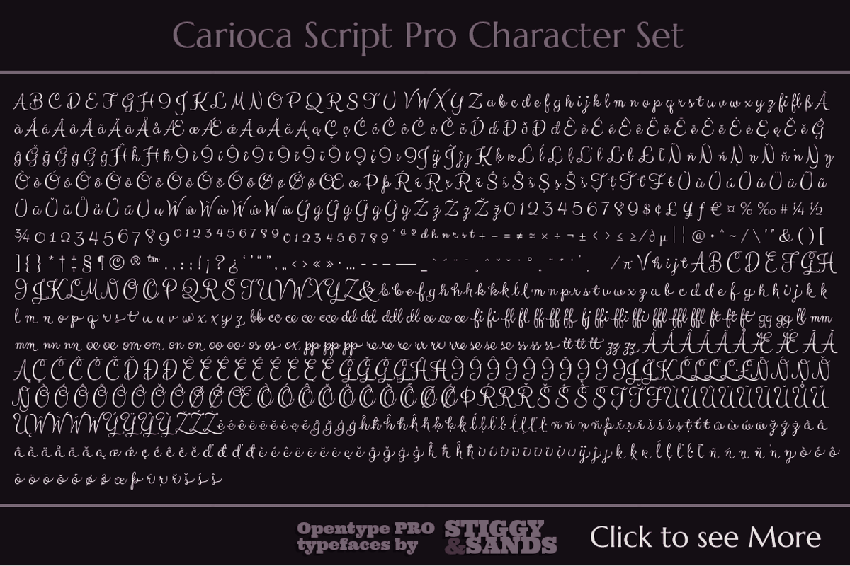 Carioca Script Pro, a Script Font by Stiggy & Sands